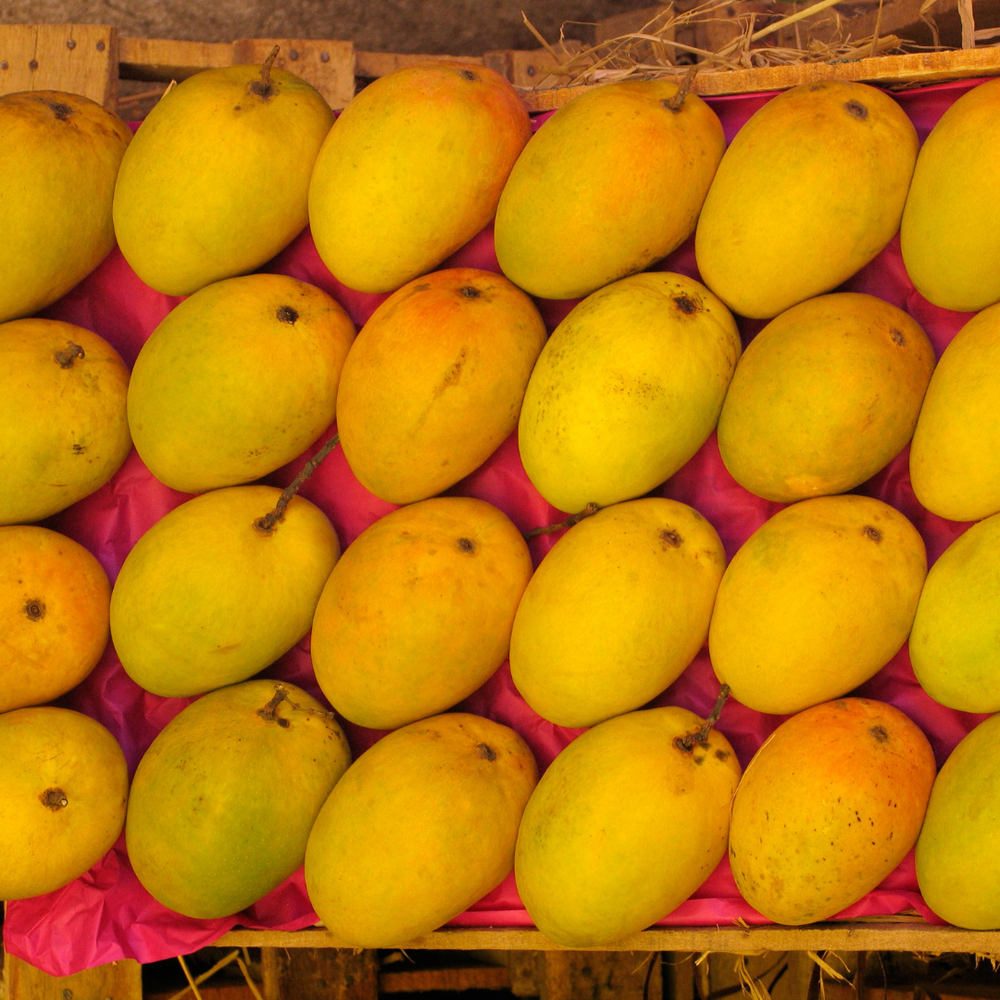 Buy Fresh Mangoes in Canada – Sweet, Juicy & Fast Delivery! – Keri_in ...